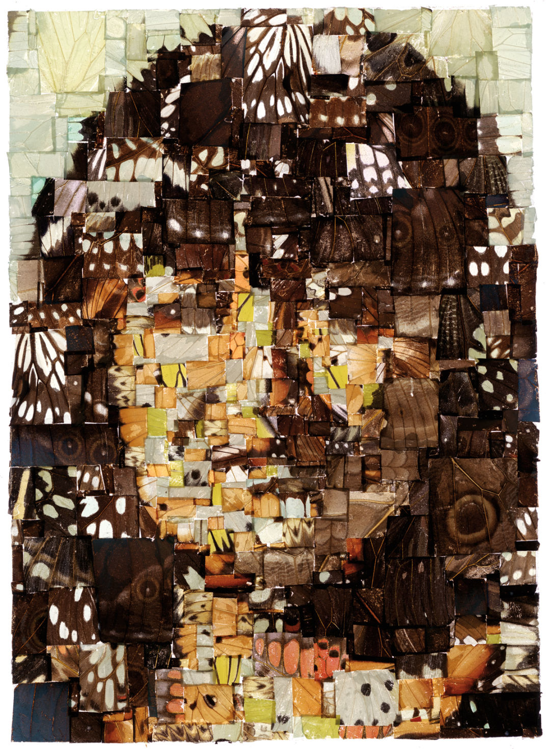 Ben Timpson: Artist Creates Delicate Art with a Powerful Message | Ann ...