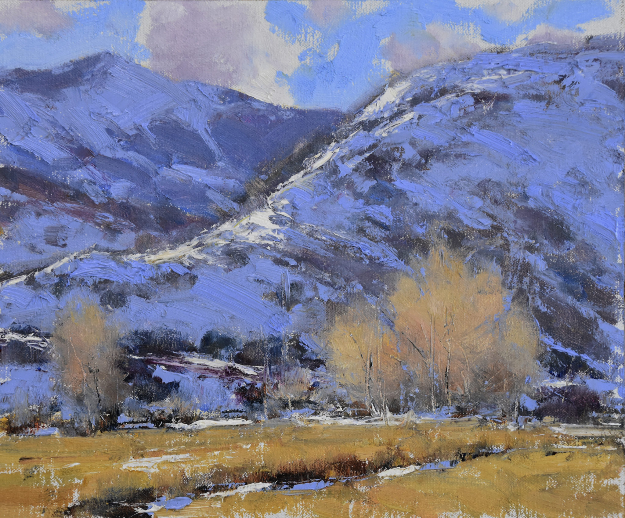 Dan Young: Colorado Impressions | Ann Korologos Gallery