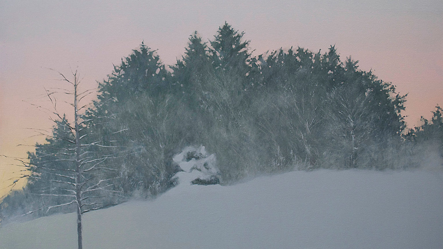 Works Virtual Tour Press Release Also on View