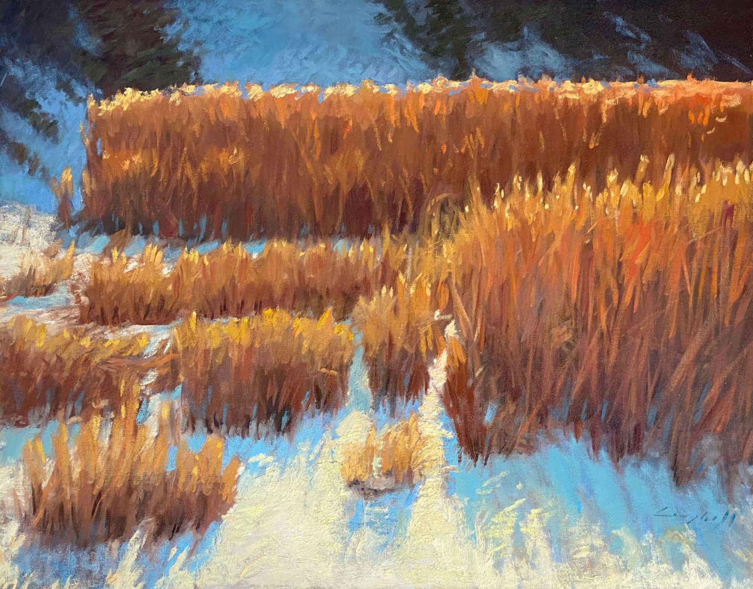 Peter Campbell