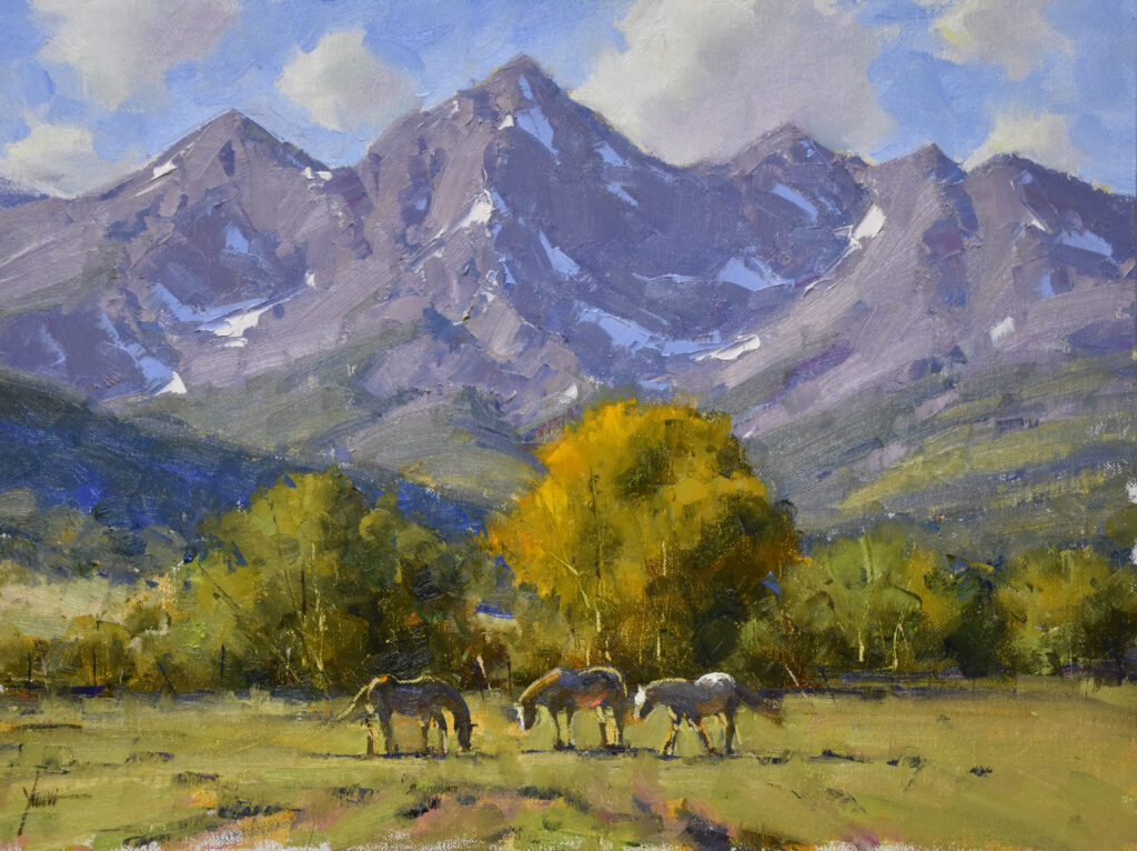 Dan Young | Ann Korologos Gallery