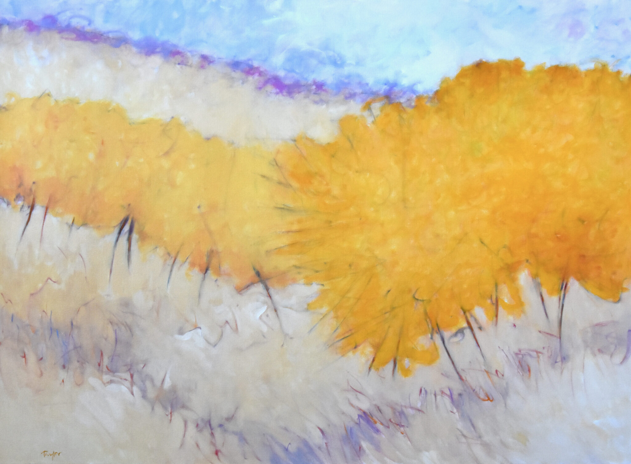 Andy Taylor | Ann Korologos Gallery